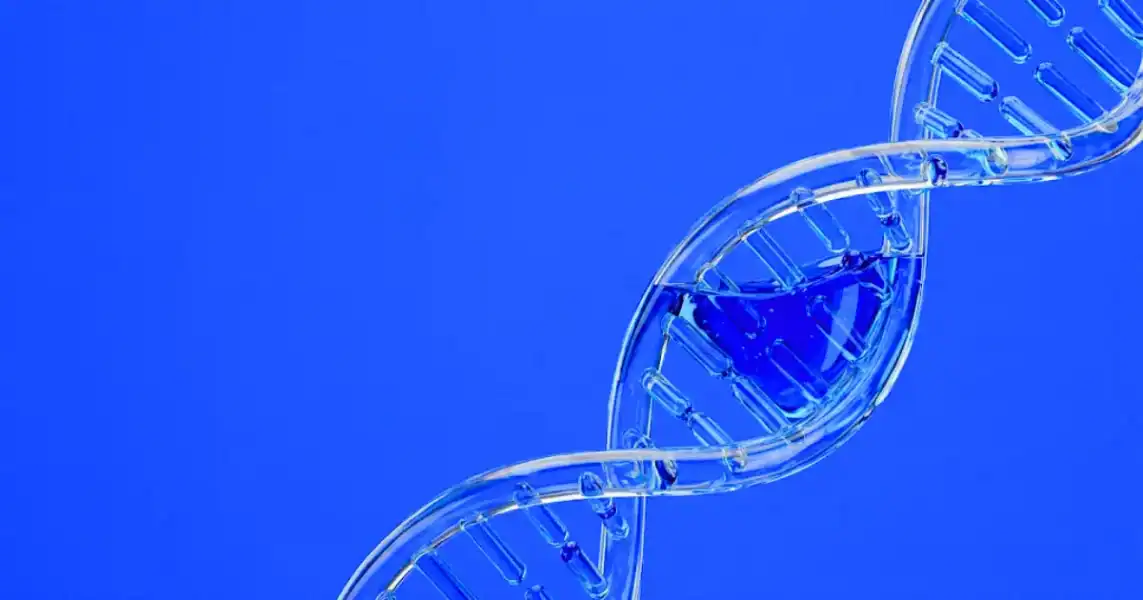 EU Q&A Guide: Amendments to MDR and IVDR Transitional Provisions - MDx CRO